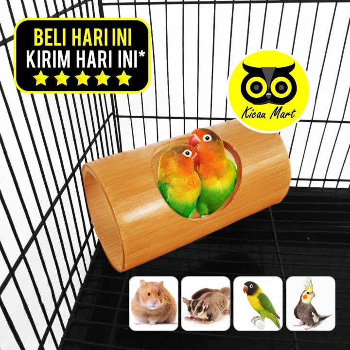 Glodok Lovebird Bambu Tabung Tempat Susuh Ternak Sarang Bertelur Mainan ...