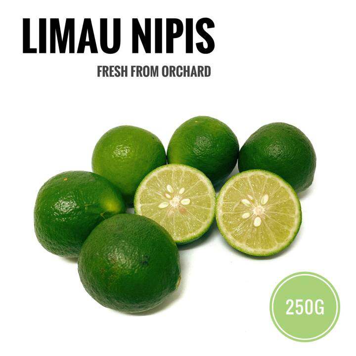 Fresh Limau Nipis/Fresh Lime (250g) | Lazada