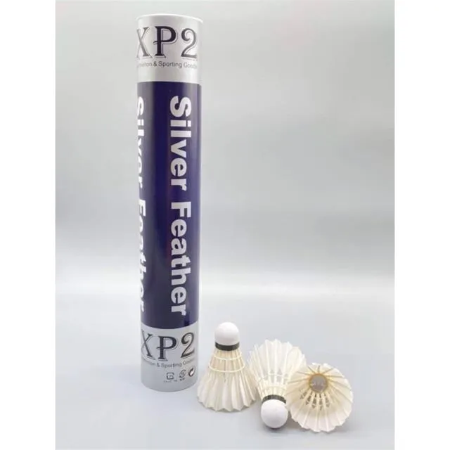 FREE OVERGRIP INSIDE Authentic/Original XP2 Silver Badminton ...