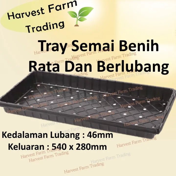 Tray Rata Berlubang seedling tray semaian benih bekas semaian biji ...