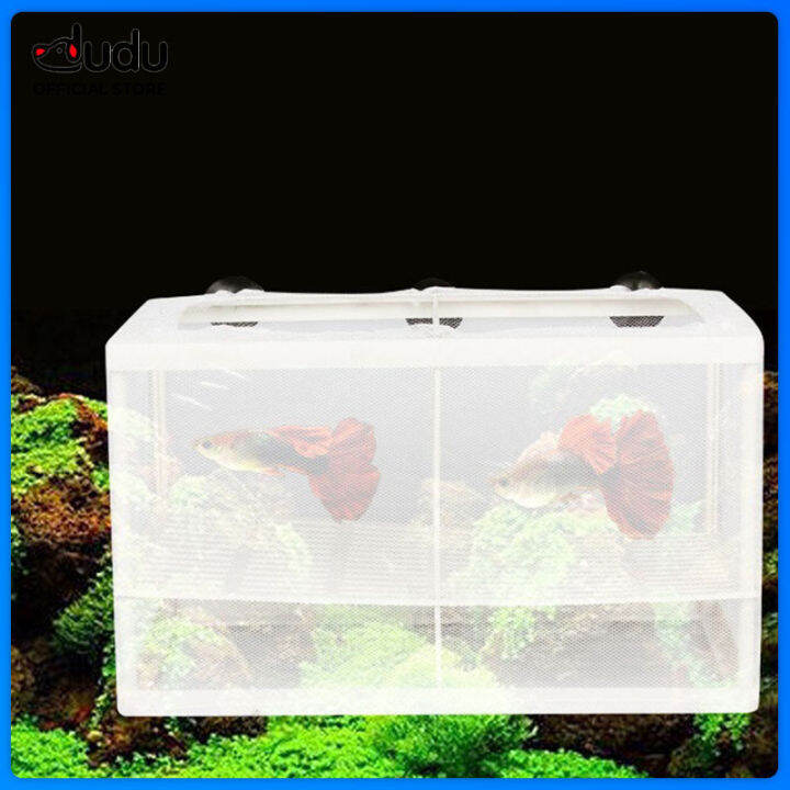 DUDU Pet Aquarium Fish Breeder Box Fish Isolation Box Hatching Box ...