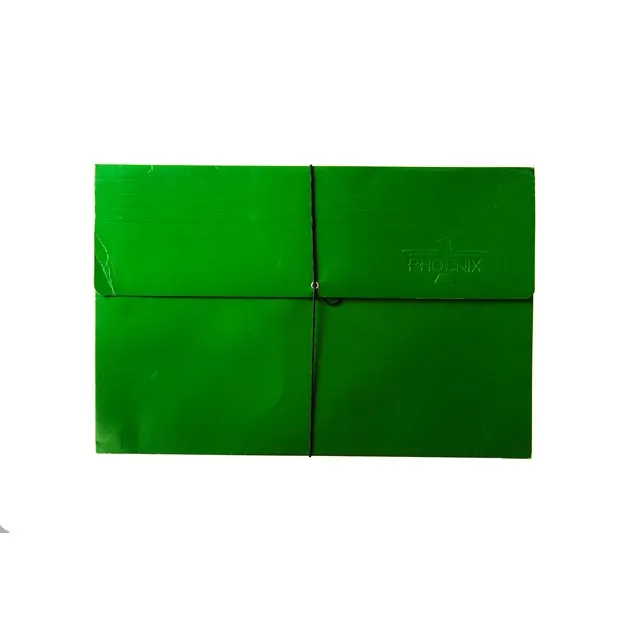 VKS Portfolio-Expandable Envelope with Elastic String (Long) Green ...