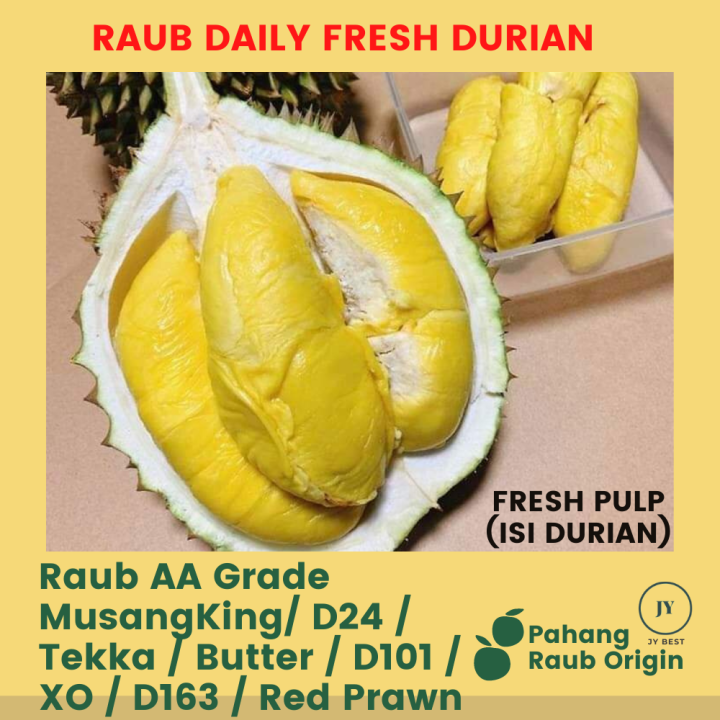 KLANG VALLEY ONLY DAILY FRESH RAUB PREMIUM DURIAN Musang King XO Butter Tekka Teka D101 D24 D163 ...