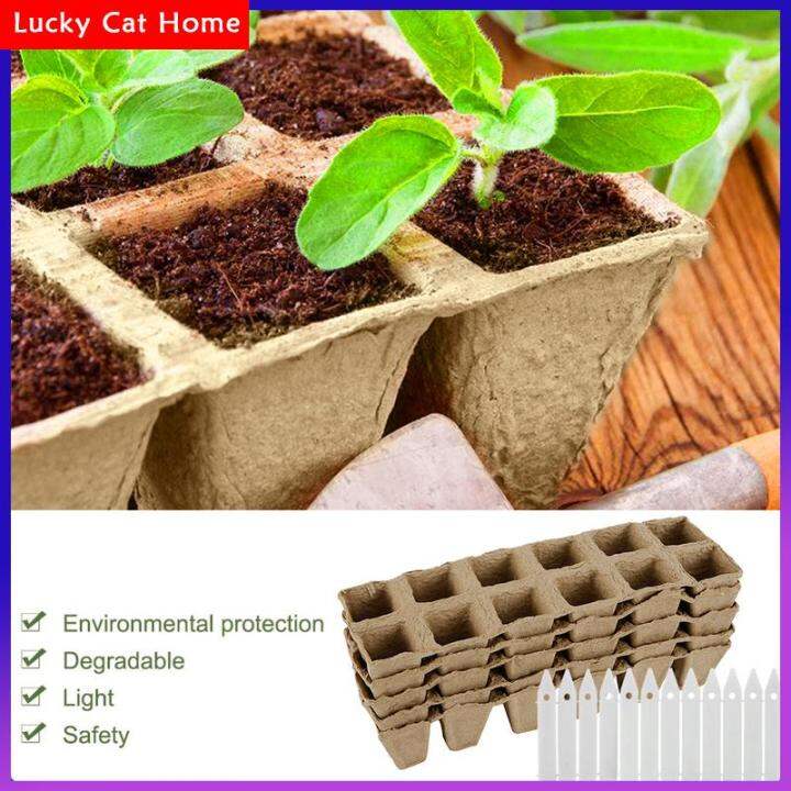 12 Grid Beginner Square Pulp Degradable Seedling Cup Set | Lazada PH