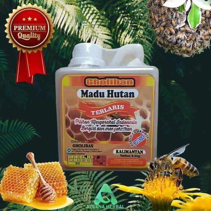 Madu asli/Madu Murni/Madu hutan kalimantan 500gr Gholiban asli | Lazada ...