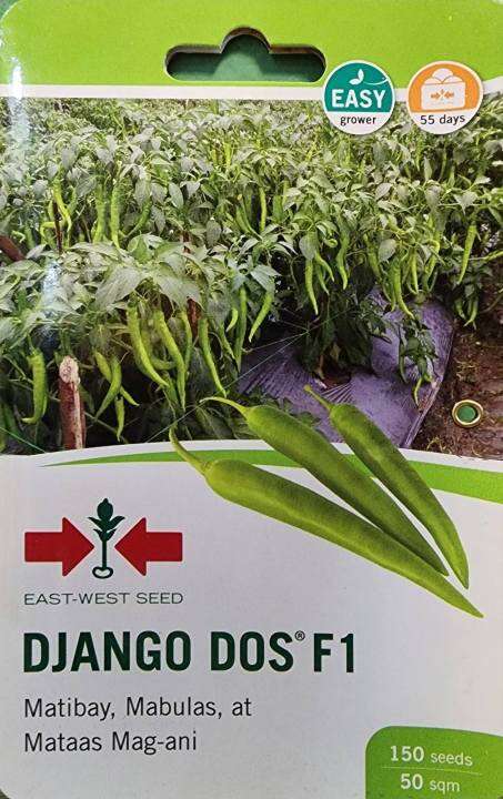 GREEN HOT CHILI PEPPER (SILING BERDE/ PANGSIGANG) DJANGO DOS HYBRID F1 ...