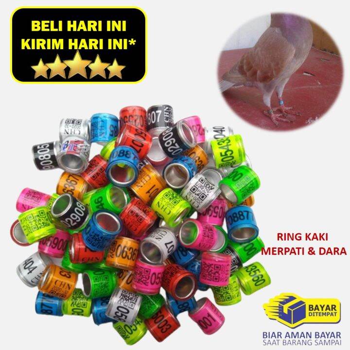 [TERMURAH] Ring Merpati 2022 Murah / Ring Merpati Merpati / Ring Burung ...