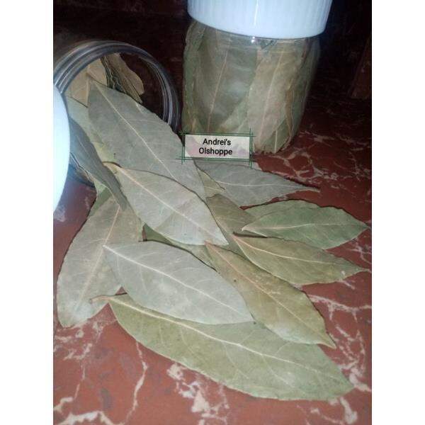 Dahon ng Laurel Buo Laurel Leaves Whole 50g. | Lazada PH