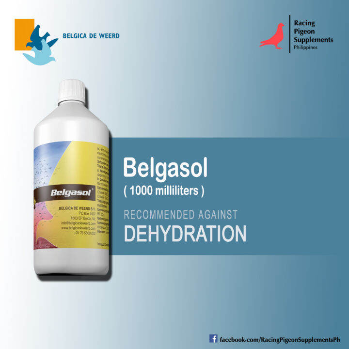 Belgica De Weerd - Belgasol / Biolektron (1000ml) | Lazada PH