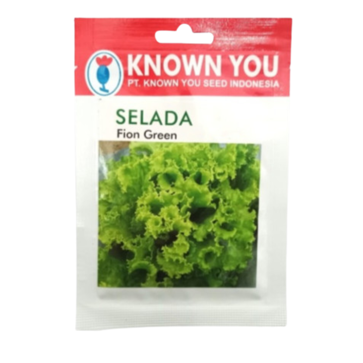 SELADA FION GREEN 5 GRAM PACK KECIL benih biji selada hijau keriting ...