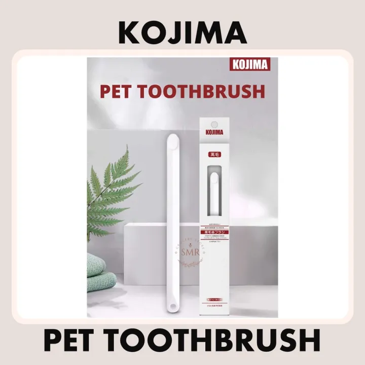 Kojima Japan Pet Toothbrush for Dog / Cat | Lazada PH