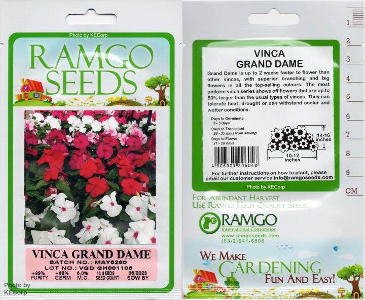 Ramgo Flower Seeds RCF VINCA GRAND DAME SEED COUNT: 15 seeds Original ...