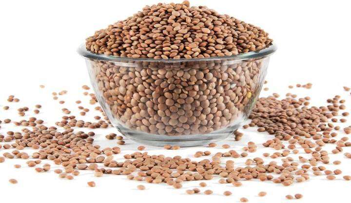 Masoor Dal Whole 500G BROWN | Lazada.co.th