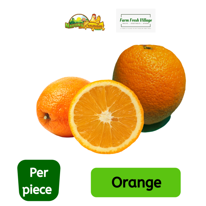 FARM FRESH VILLAGE Orange Fruit Large Size | Lazada PH
