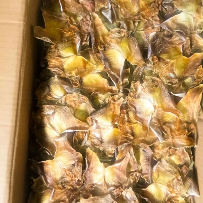 dried danggit 1/4 | Lazada PH