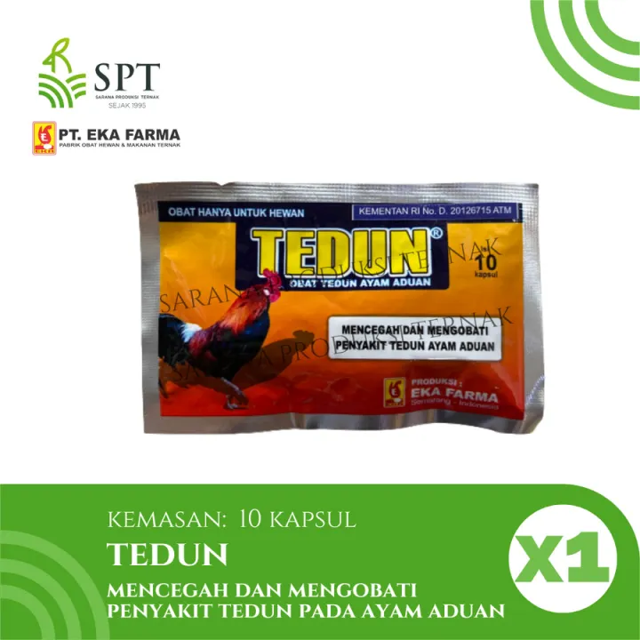 TEDUN AYAM OBAT AYAM ADUAN 10 KAPSUL EKA FARMA | Lazada Indonesia