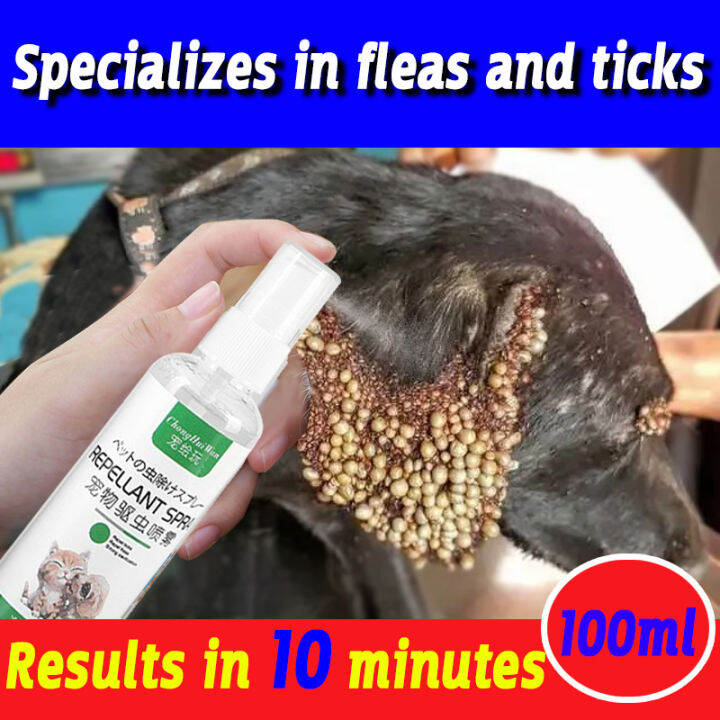 🔝vetcore recommend🐶100ml Antibacterial Spray for Pet skin treatment ...