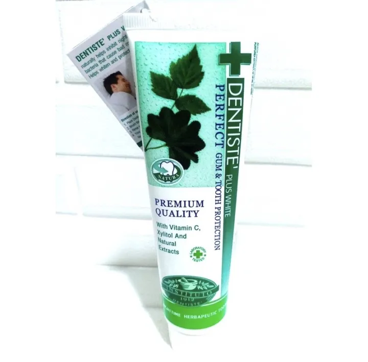 Dentiste Plus White Natural Night Time Toothpaste 160g | Lazada PH
