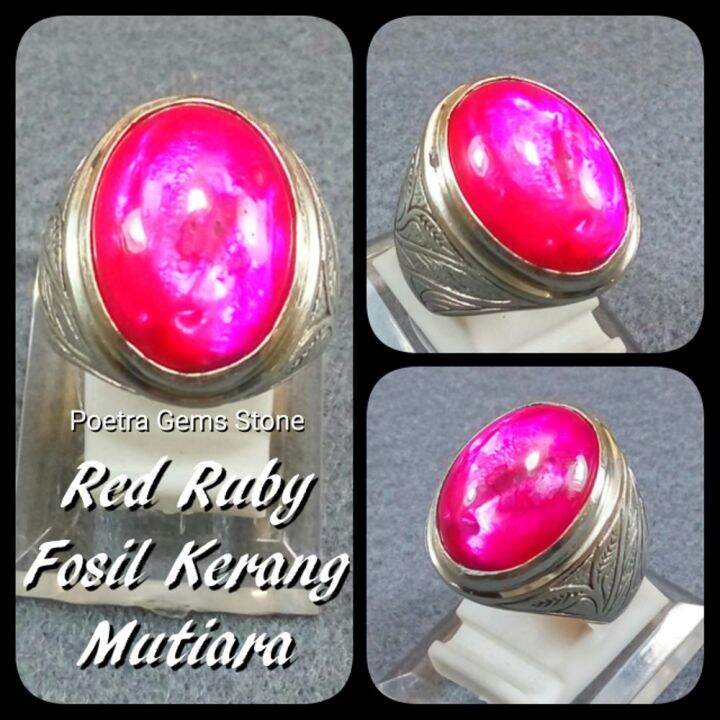 BATU CINCIN FOSIL KERANG MUTIARA RED RUBY | Lazada Indonesia