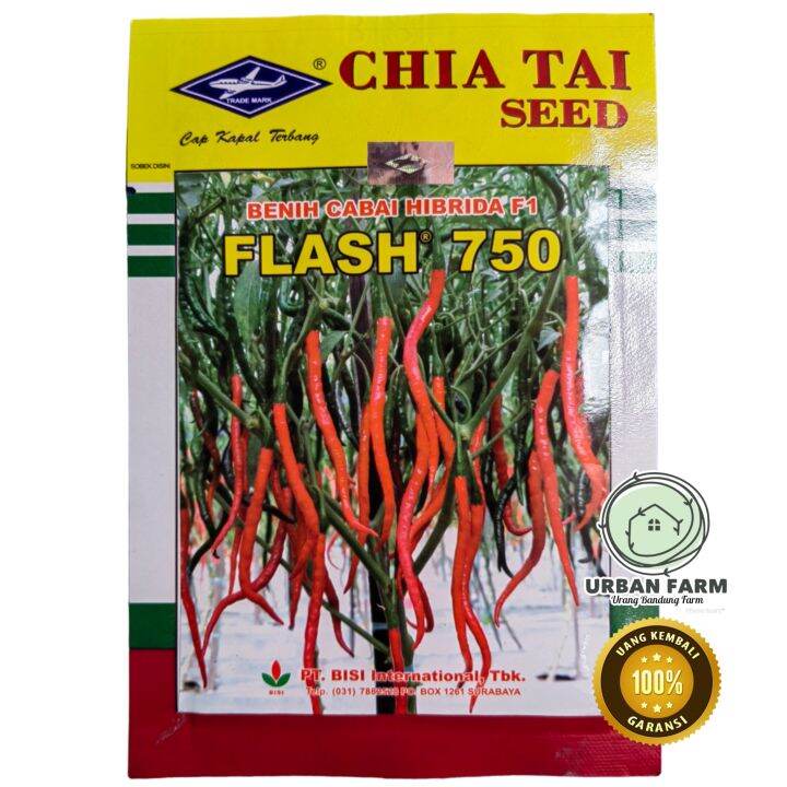 Benih Cabai F1 FLASH 750 10gram - Benih Cabai Keriting Hibrida F1 FLASH ...