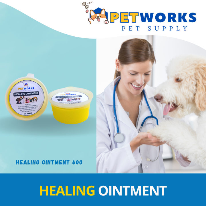 PetworksPH Natural Dog Healing Ointment with Moringa, Acapulco, and ...