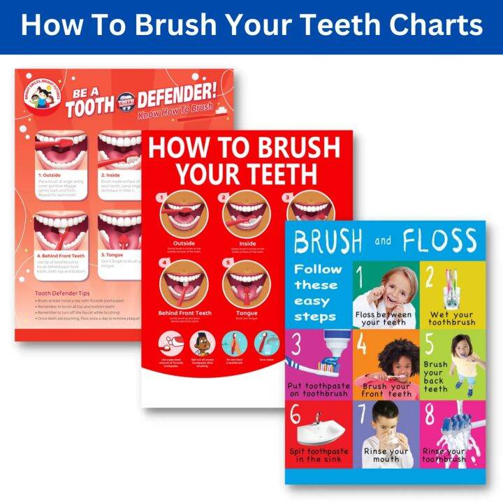 Laminated How To Brush Your Teeth Charts for Kids and Learners ...