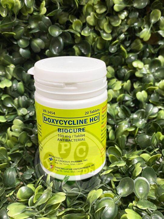 Biocure For Dogs and Cats 20 Tablets | Lazada PH