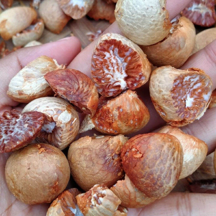 Jambe Pinang Kering Rempah Jamu Herbal Tradisional Anemia Darah Tinggi ...