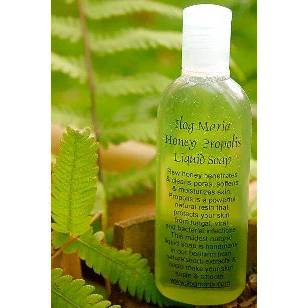 Ilog Maria Honey Propolis -Green Tea Liquid Soap 100ml | Lazada PH