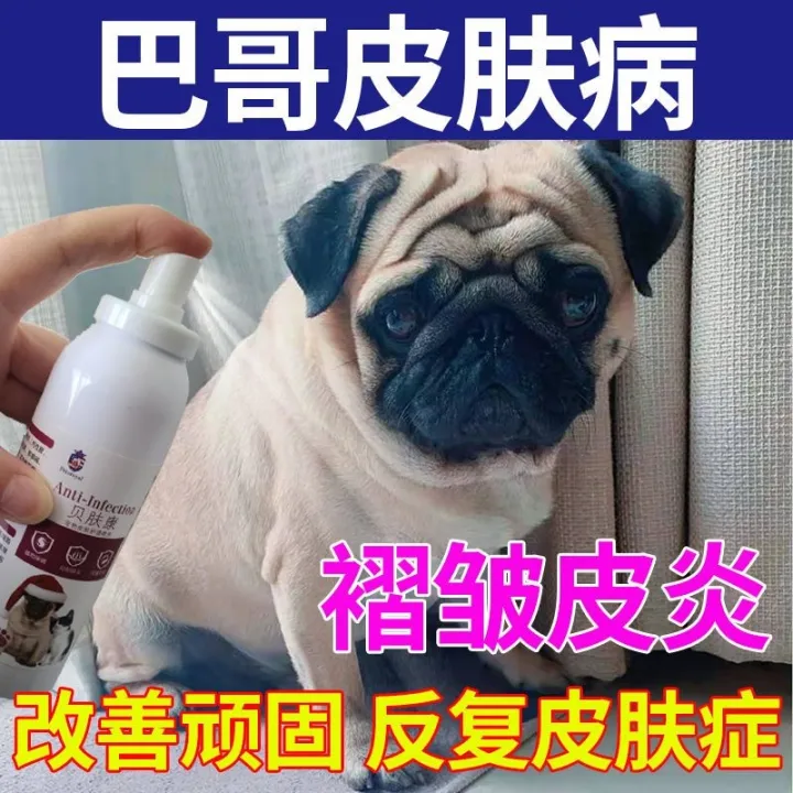 [Pago skin disease special] dog skin disease spray fungus rash itching ...