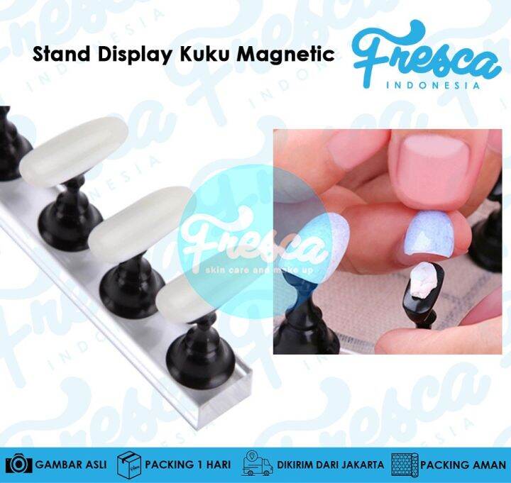 Stand Display Kuku Palsu Magnetik Isi 5 Bahan Metal Untuk Latihan Nail ...