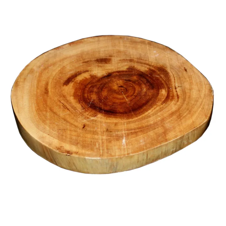 SANDERWOOD 6pcs Wood Slice w/o Bark Coaster 4 inches width | Lazada PH