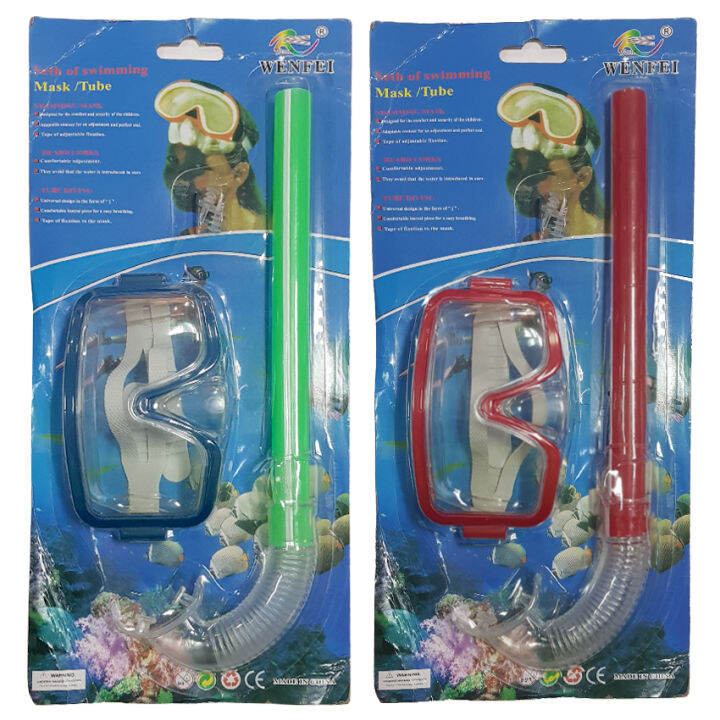 Swimming Goggles Snorkel Set with Ear Plugs Pool Toy For Adult | Lazada PH