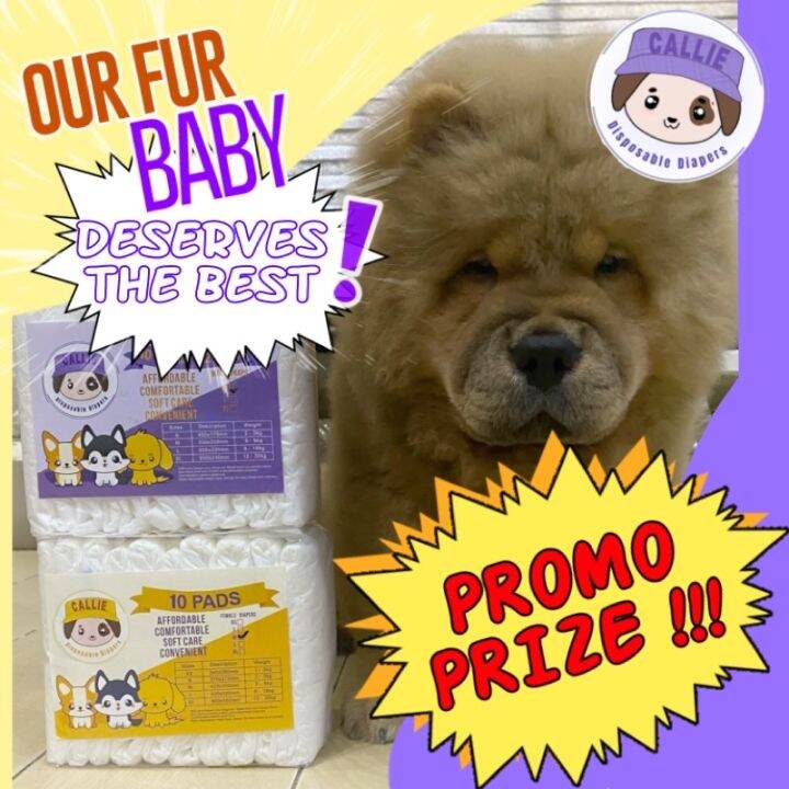 Callie Dog Male Wraps and Female Diapers | Lazada PH