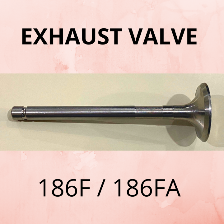 Exhaust Valve 186F (10hp) / 186FA (12hp) for Single Piston Air-cooled ...