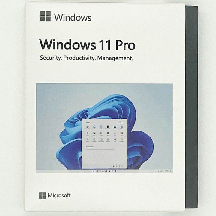 Windows 11 Pro x32/64Bit OEM USB Package FPP 11 P2 | Lazada PH