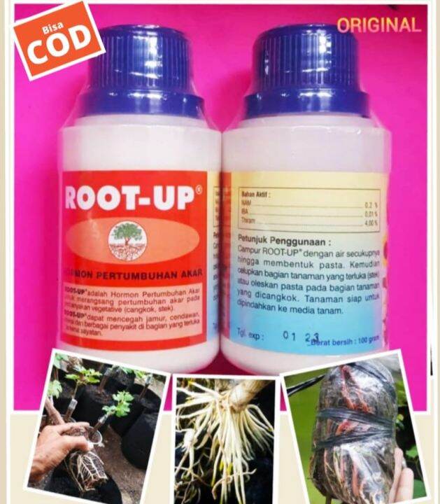 ROOT UP Hormon Penumbuh Akar tanaman Penumbuh akar | Lazada Indonesia