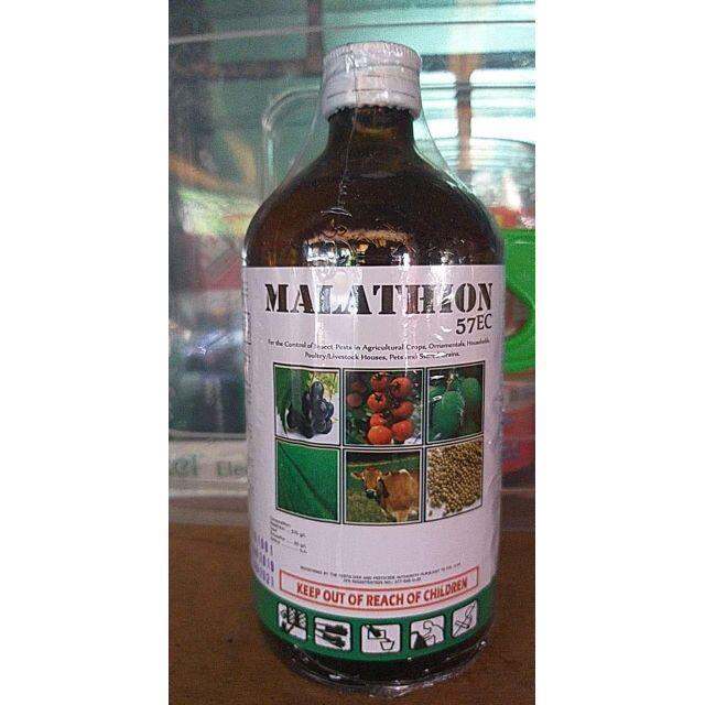 Malathion insecticide 500ml | Lazada PH