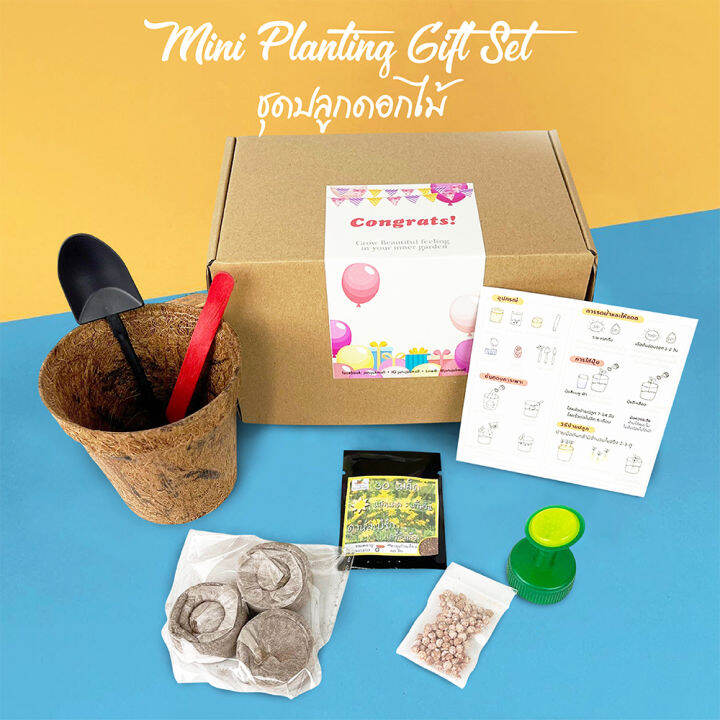 ชุดปลูกต้นไม้ 💐 Mini Planting Gift Set ชุดปลูกดอกไม้ ของขวัญ อุปกรณ์ ...