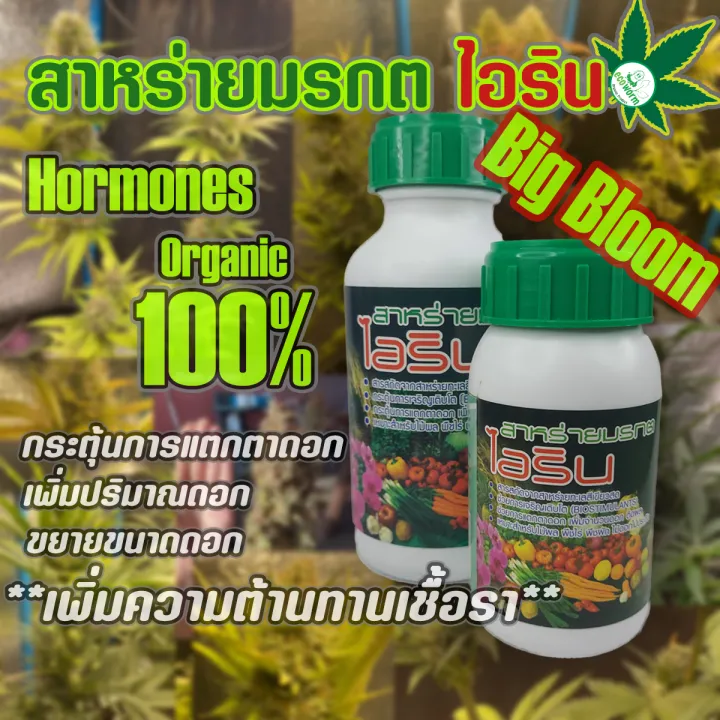 ปุ๋ย เพิ่มดอกBIG BLOOM Hormone #Organic 100% **ต้านทาน/ป้องกันเชื้อรา ...