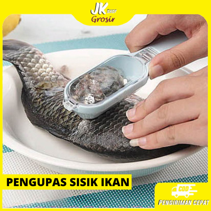 JK - ALAT PEMBERSIH SISIK IKAN | PENGUPAS SISIK IKAN | PENGERUK SISIK ...