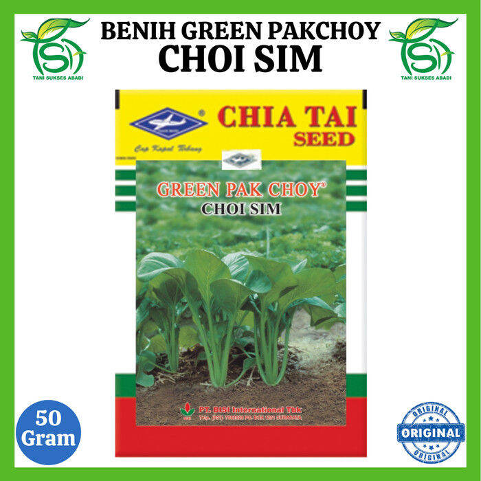 Benih GREEN PAK CHOY CHOI SIM (50 Gram) - Bibit Sawi Cap Kapal Terbang ...