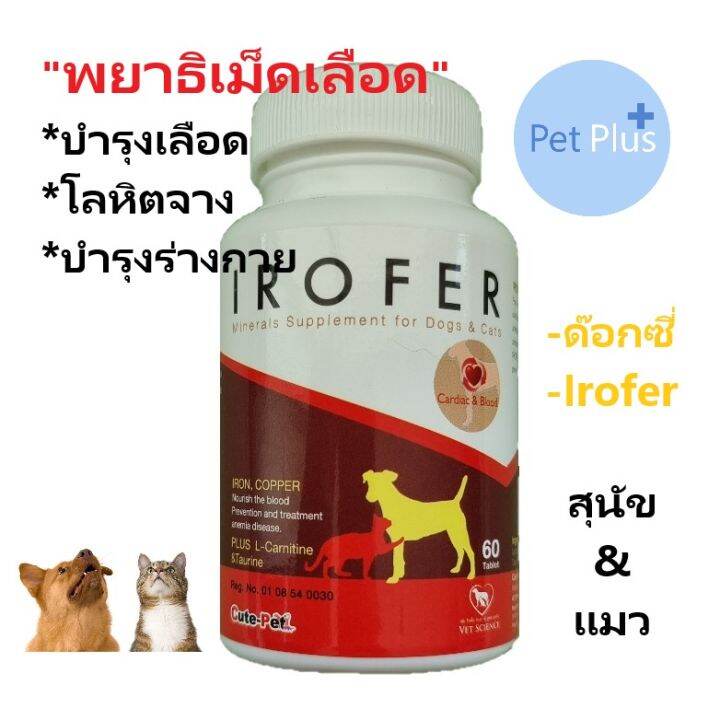 Irofer ไอโรเฟอร์ "บำรุงเลือด บำรุงสุขภาพ" เลือดจางจากพยาธิเม็ดเลือด ...