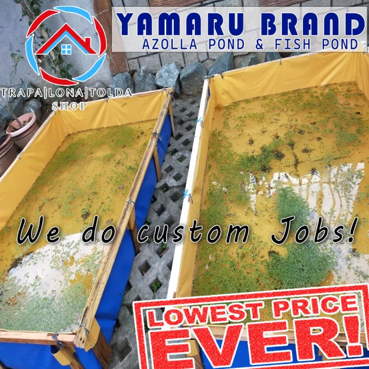1PC POND | 4X10X1 FEET AZOLLA POND AND FISH POND HIGH-QUALITY MAYAMA ...