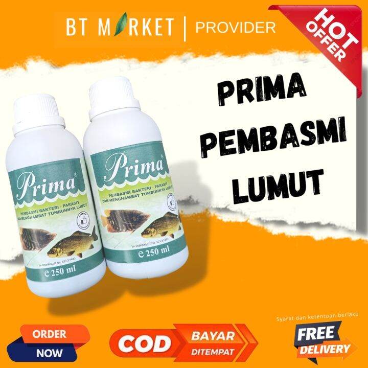Prima 250 ml Obat Ikan Pembasmi Bakteri Parasit Dan Penghambat Lumut ...