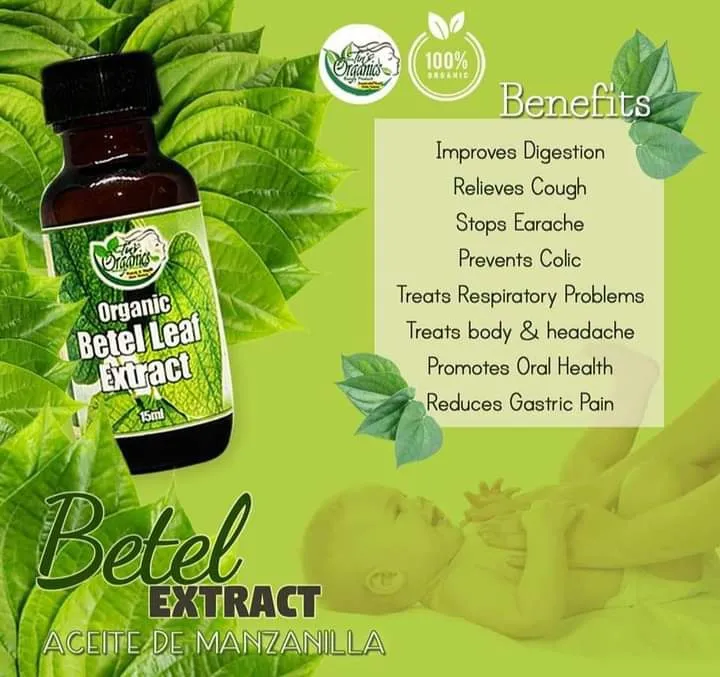 Organic Betel Leaf Oil Extract | Lazada PH