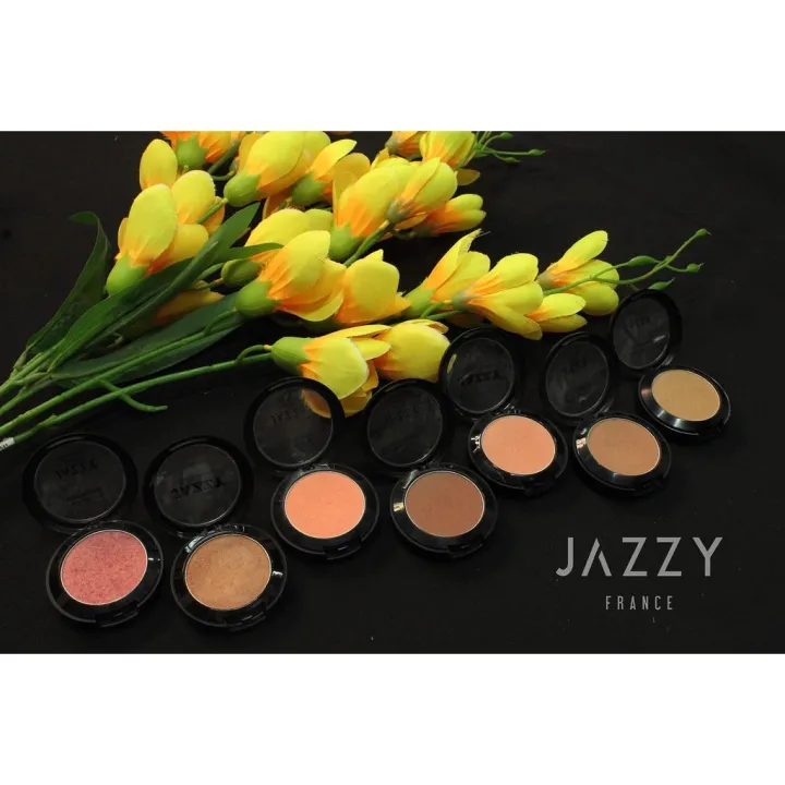 JAZZY France Professional Matte Blusher | Lazada PH
