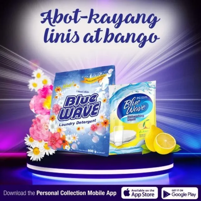 Blue Wave Powder Laundry Detergent 800g | Lazada PH