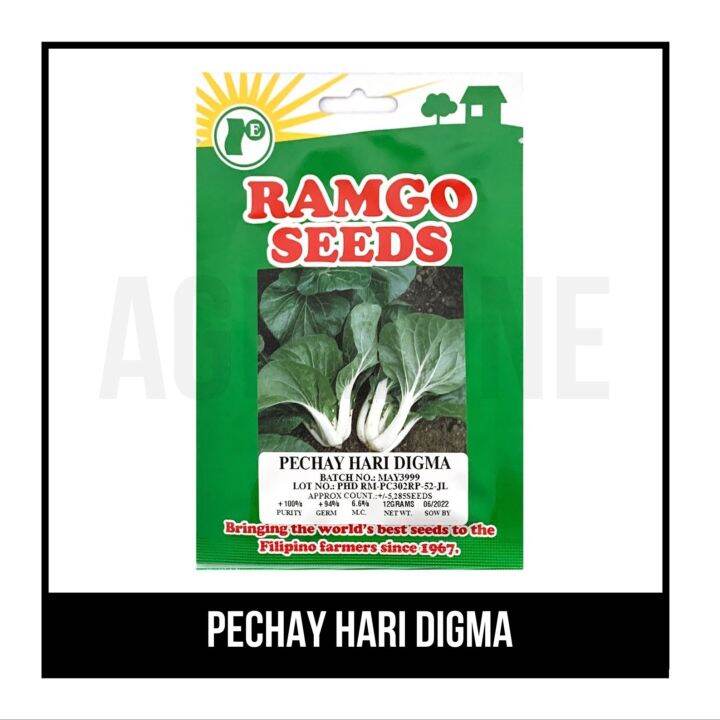 RAMGO Seeds Pechay Hari Digma | Lazada PH