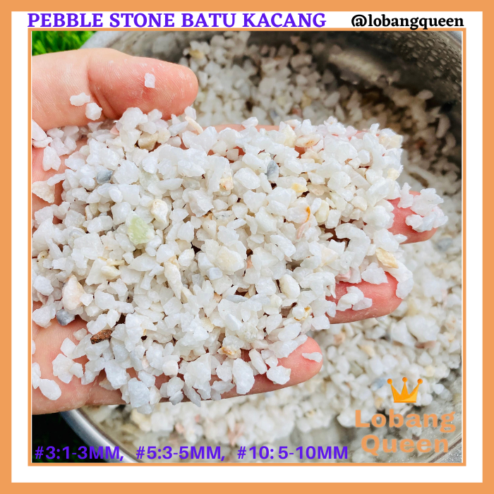 1KG Local White Chipping Pebble Stone Decor Batu Hiasan Putih ...